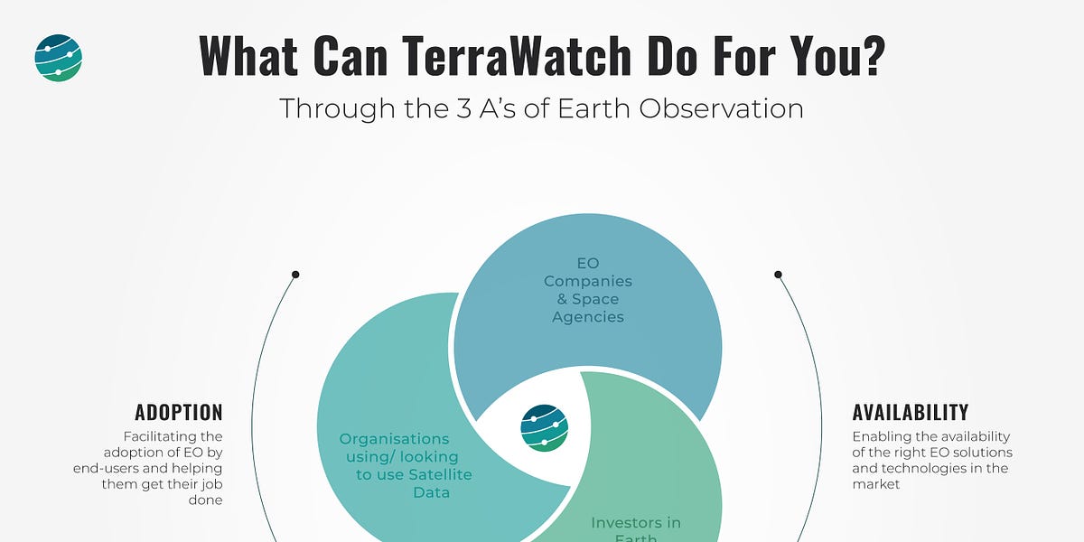 TerraWatch Space: Looking Back and Looking Forward