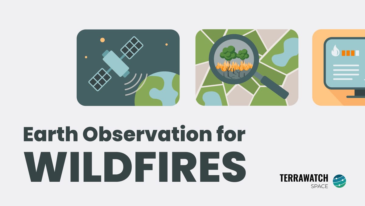 Earth Observation for Wildfire Monitoring